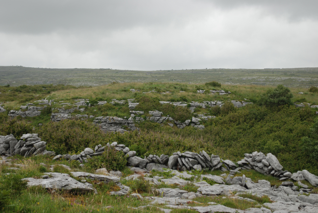 Ballyallaban Burren - SEPM Strata