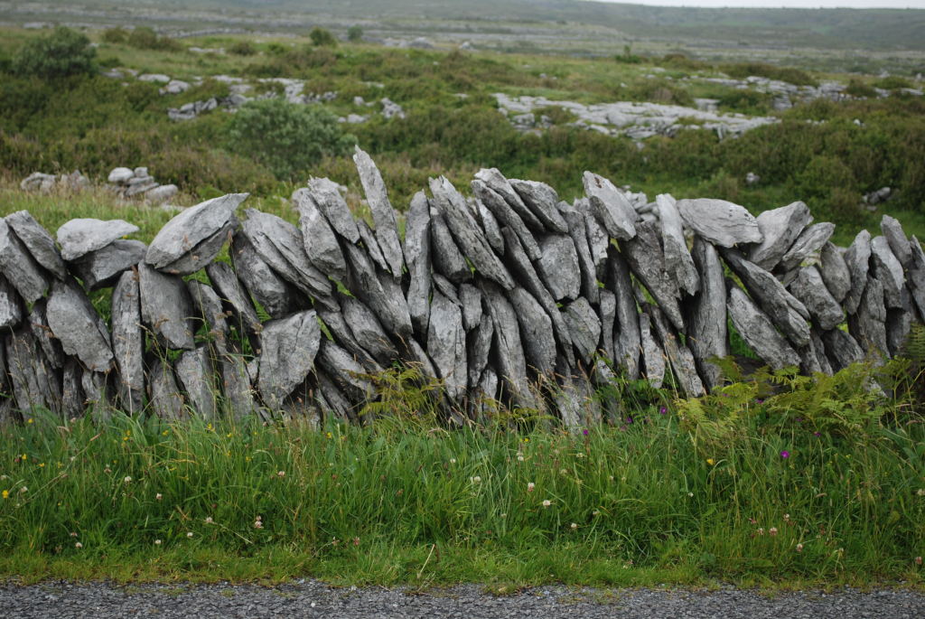 Ballyallaban Burren - SEPM Strata