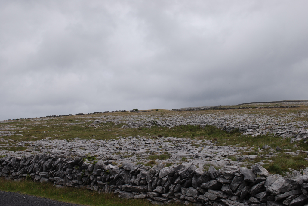 Ballyallaban Burren - SEPM Strata
