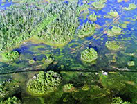 SEPM - Image Gallery Landing Page